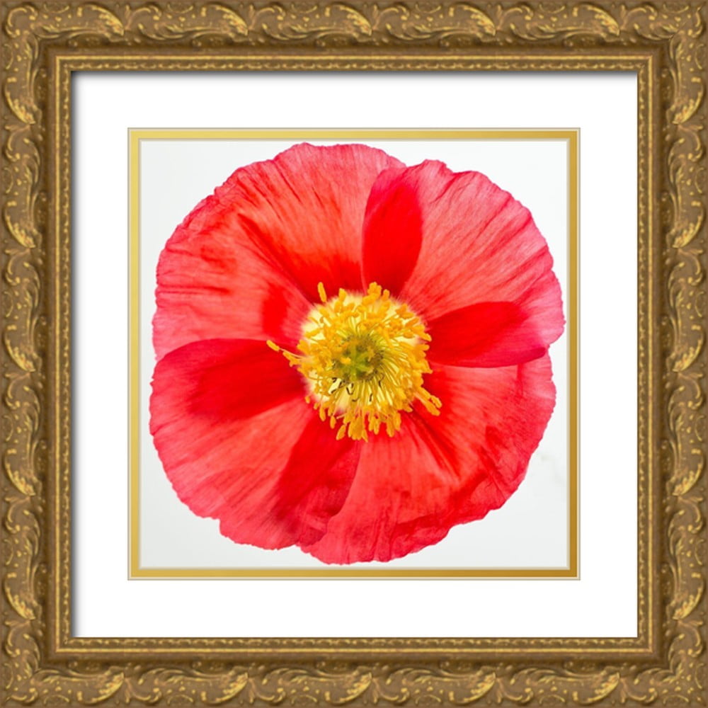 Poinski, Dianne 26x26 Gold Ornate Wood Framed with Double Matting ...