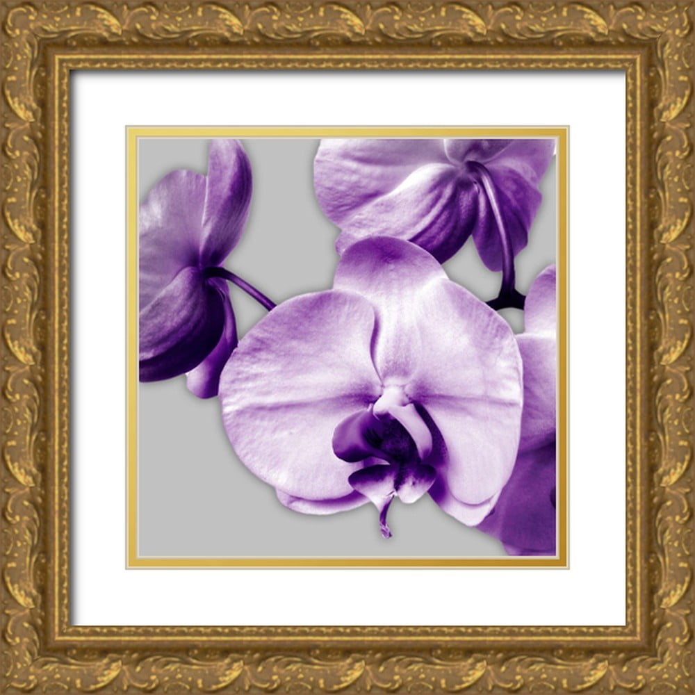 Poinski, Dianne 26x26 Gold Ornate Wood Framed with Double Matting ...