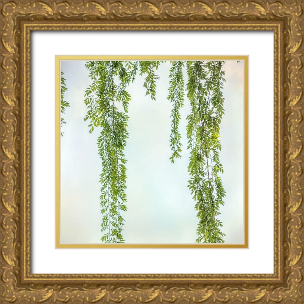 Poinski, Dianne 26x26 Gold Ornate Wood Framed with Double Matting ...