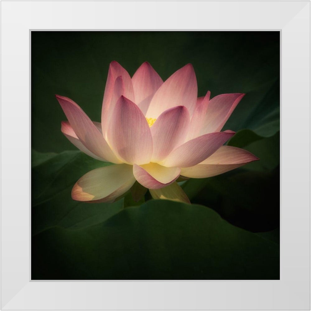 Poinski, Dianne 26x26 White Modern Wood Framed Museum Art Print Titled ...