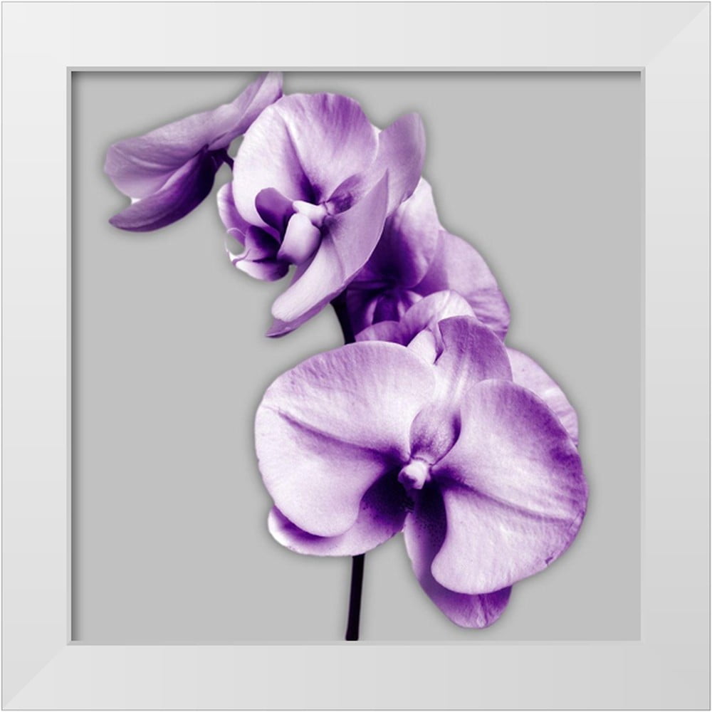 Poinski, Dianne 26x26 White Modern Wood Framed Museum Art Print Titled ...