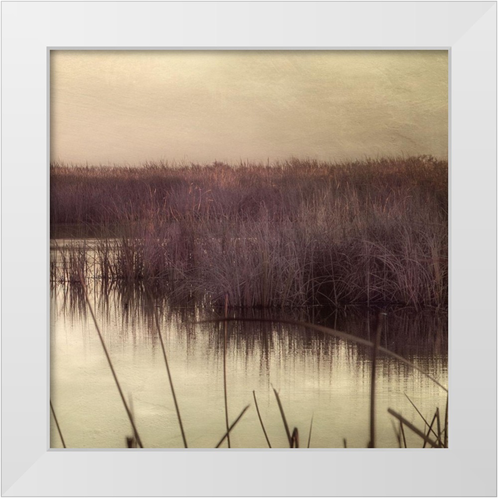 Poinski, Dianne 26x26 White Modern Wood Framed Museum Art Print Titled ...