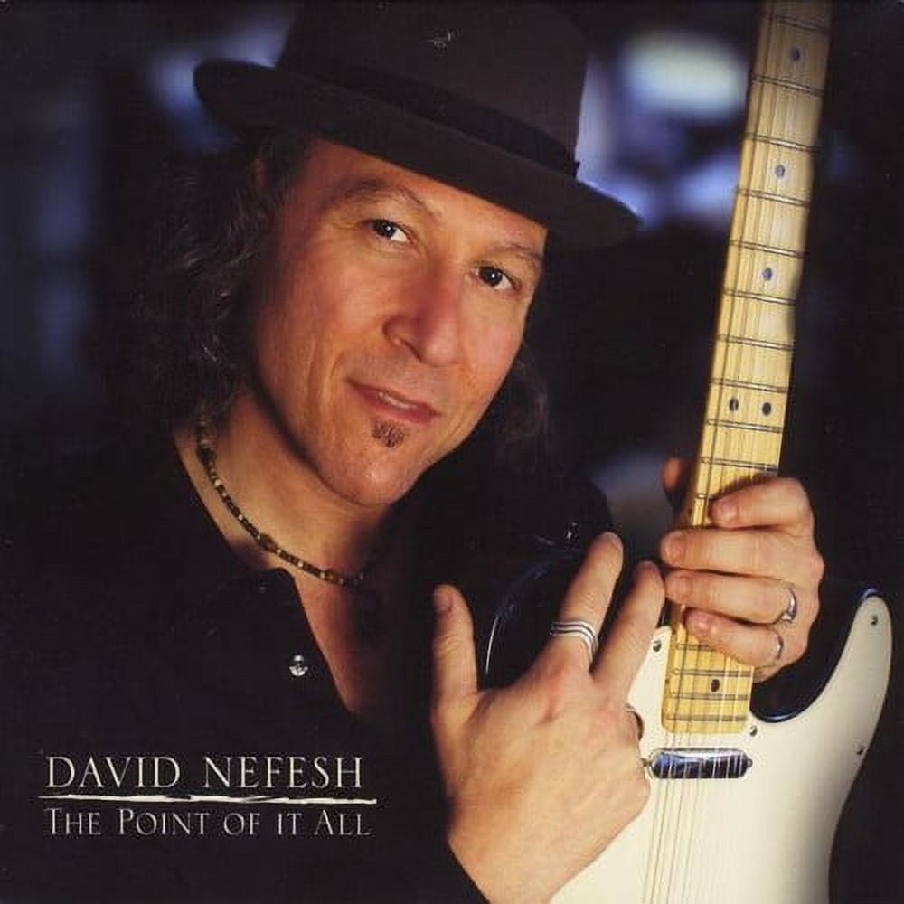 Pre-Owned Point of It All - Walmart.com