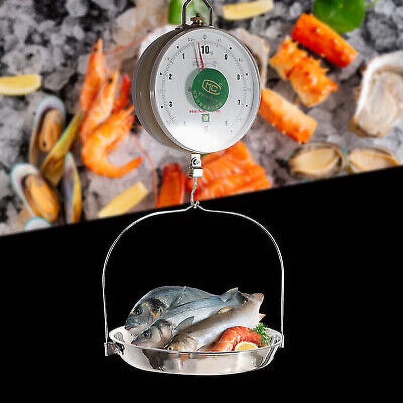 Pointer Hook Hanging Scale 10kg Kitchen Weighing Scale Fishing Scale ...