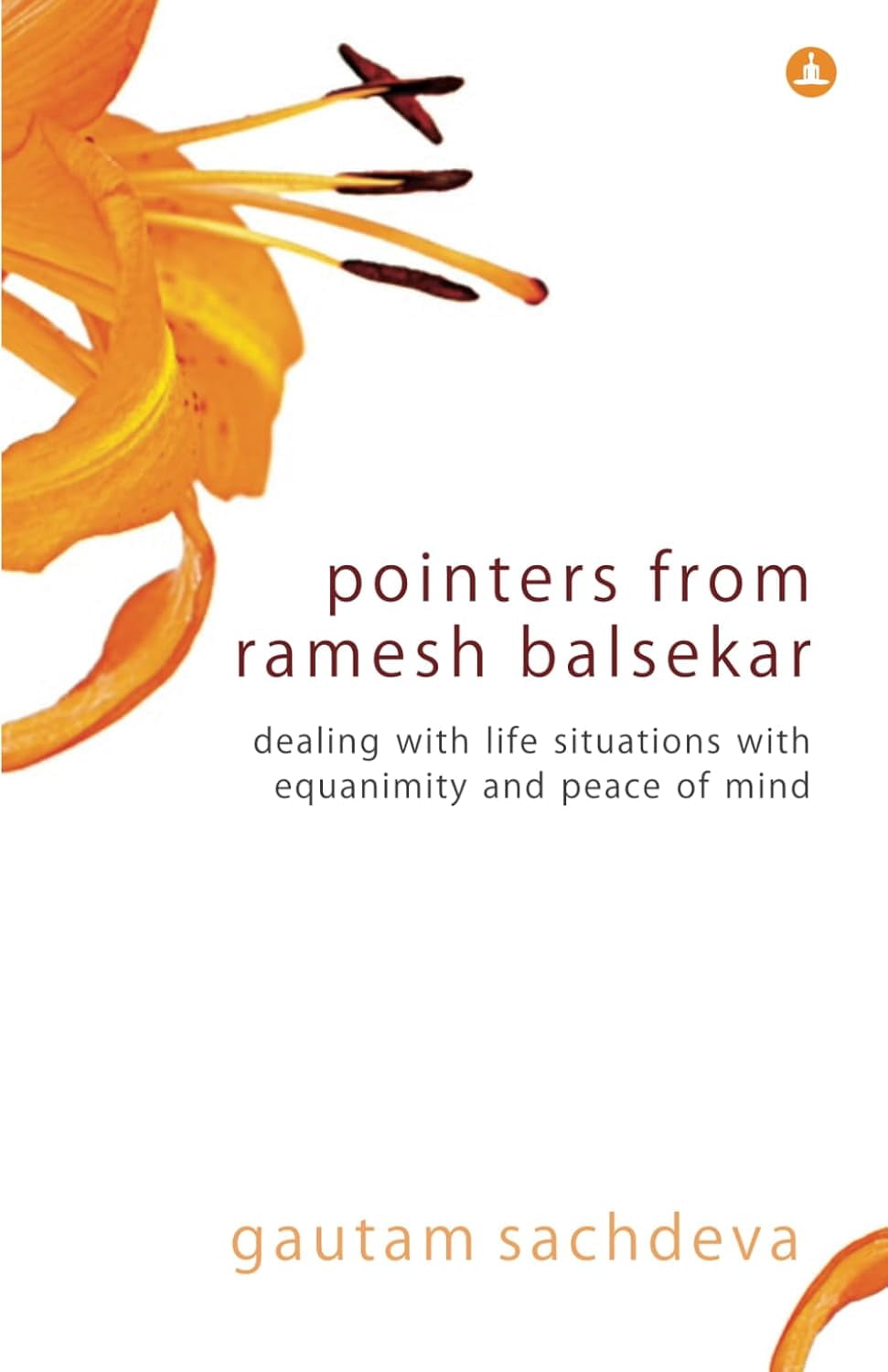 Pointers from Ramesh Balsekar (English Version) - Walmart.com