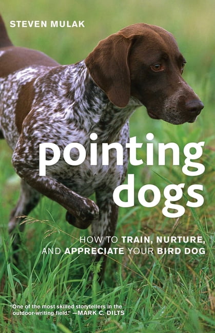 Pointing Dogs: How to Train, Nurture, and Appreciate Your Bird Dog ...