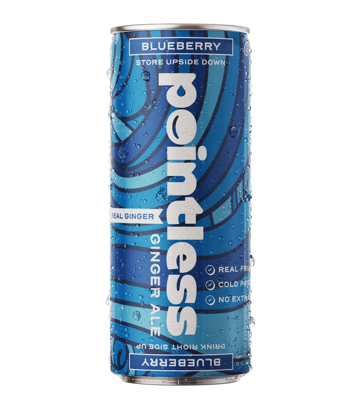 Pointless Blueberry Ginger Ale - Non-Alcoholic Soft Drink for Grown Ups ...