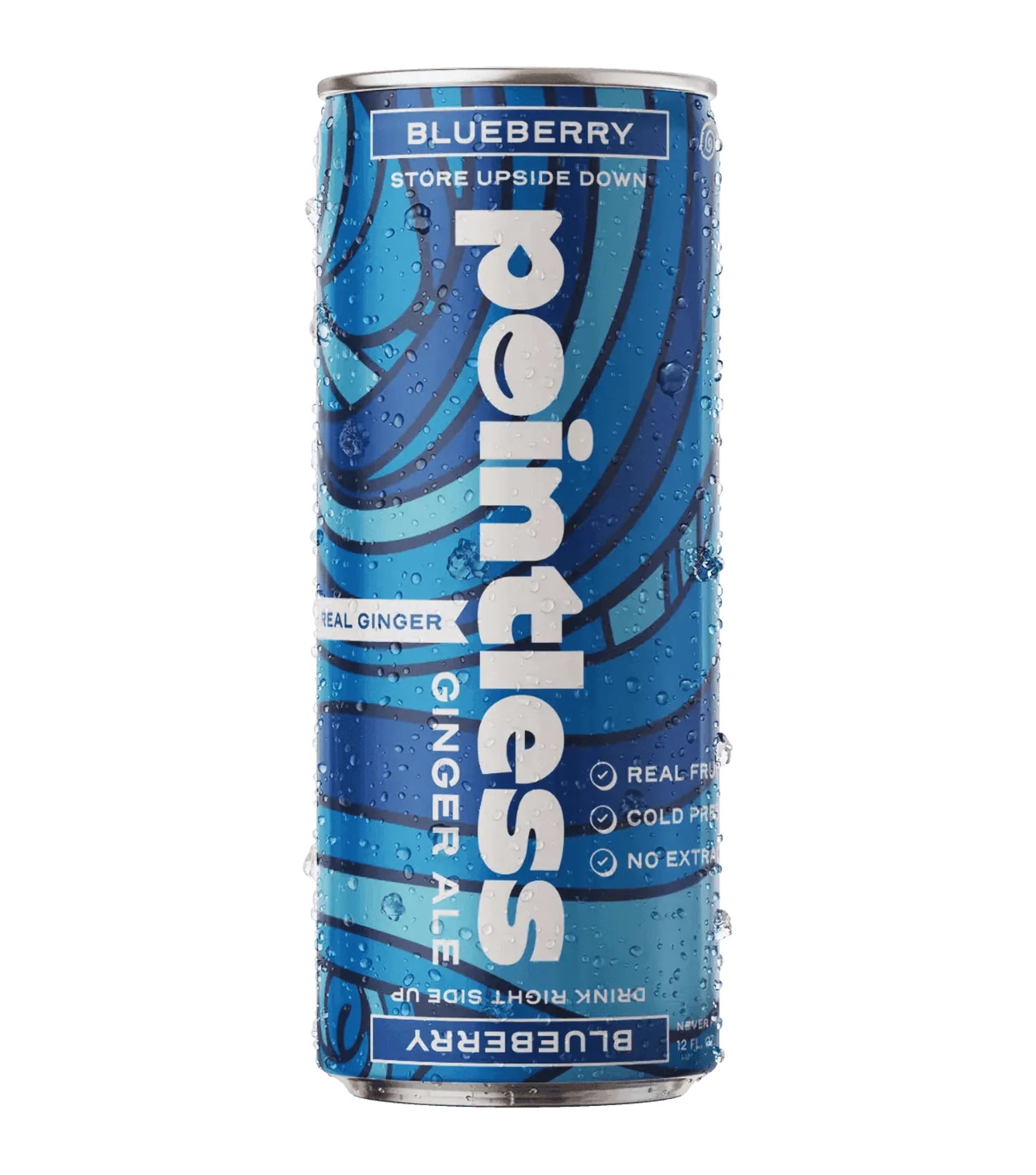 Pointless Blueberry Ginger Ale - Non-Alcoholic Soft Drink for Grown Ups ...