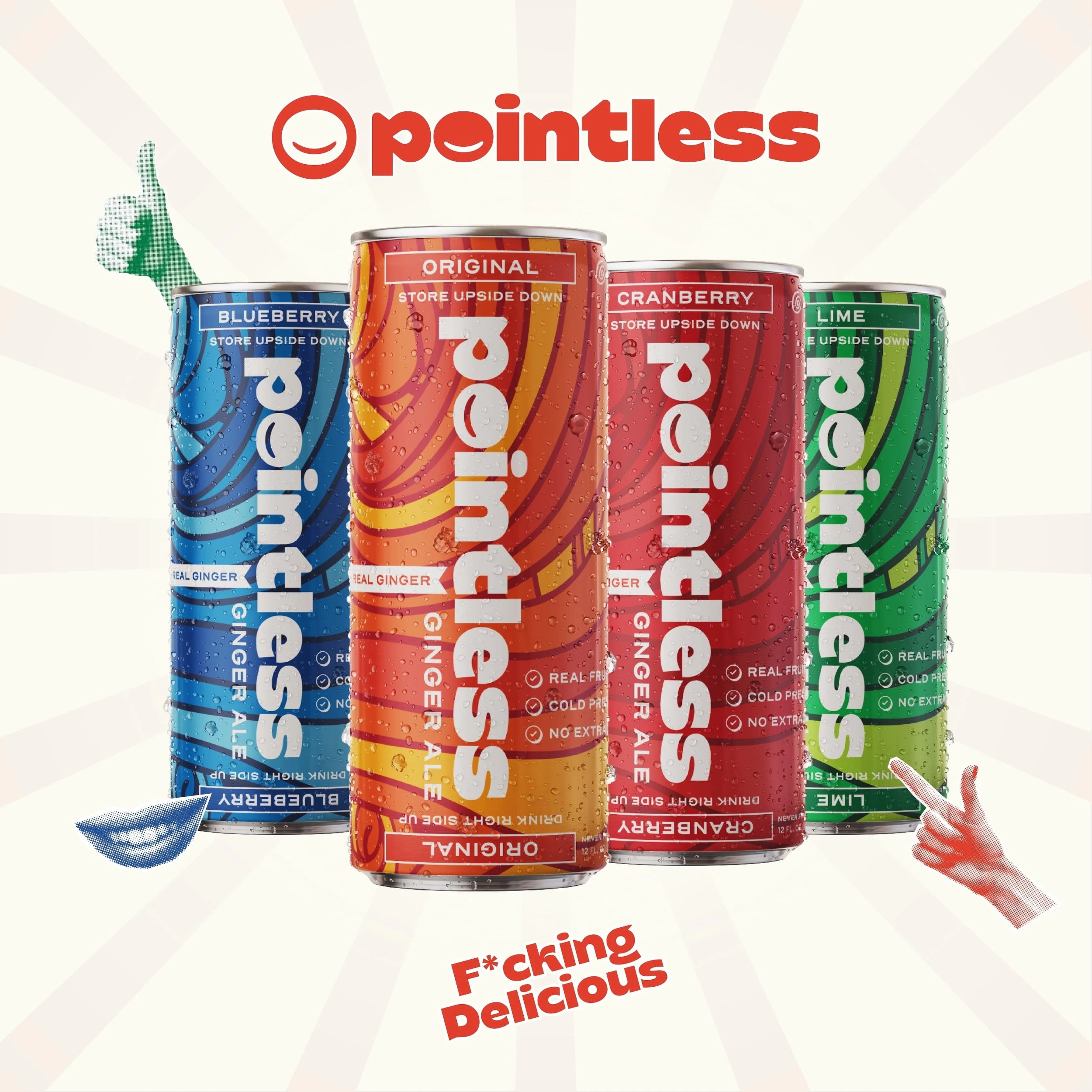 Pointless Ginger Ale Sampler - Non-Alcoholic Soft Drink for Grown Ups ...