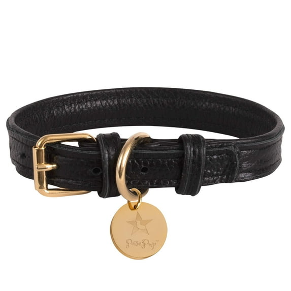 PoisePup Pet Dog Collar - Dark Night - Walmart.com