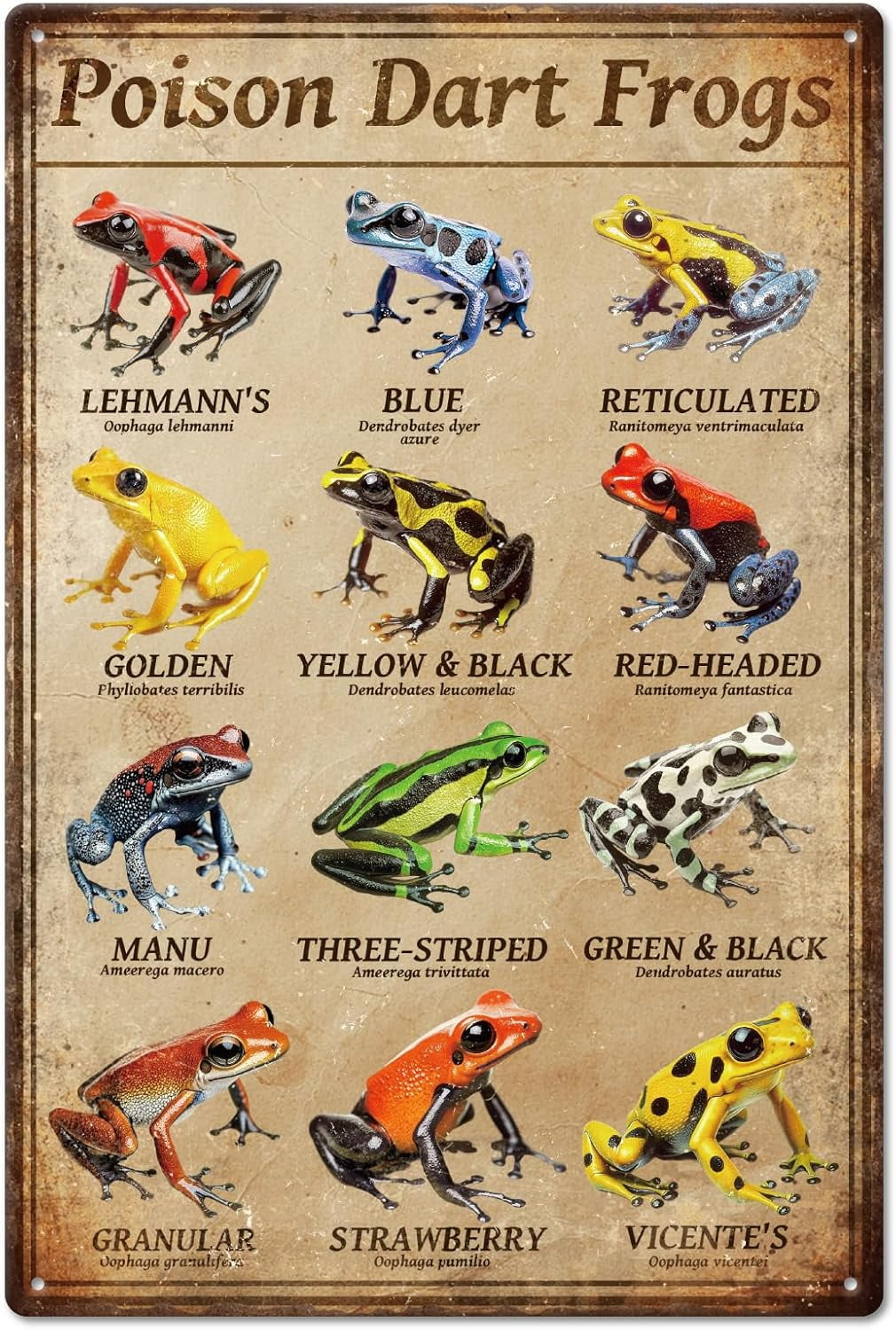 Poison Dart Frog Vintage Metal Tin Sign 12x8inch Retro Metal Plaque ...