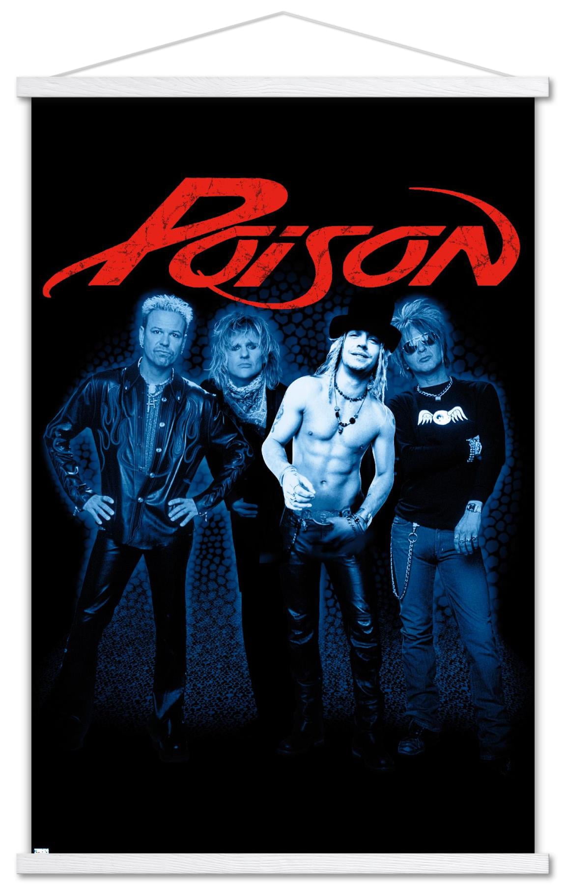 Poison - Group Wall Poster with Wooden Magnetic Frame, 22.375" x 34 ...