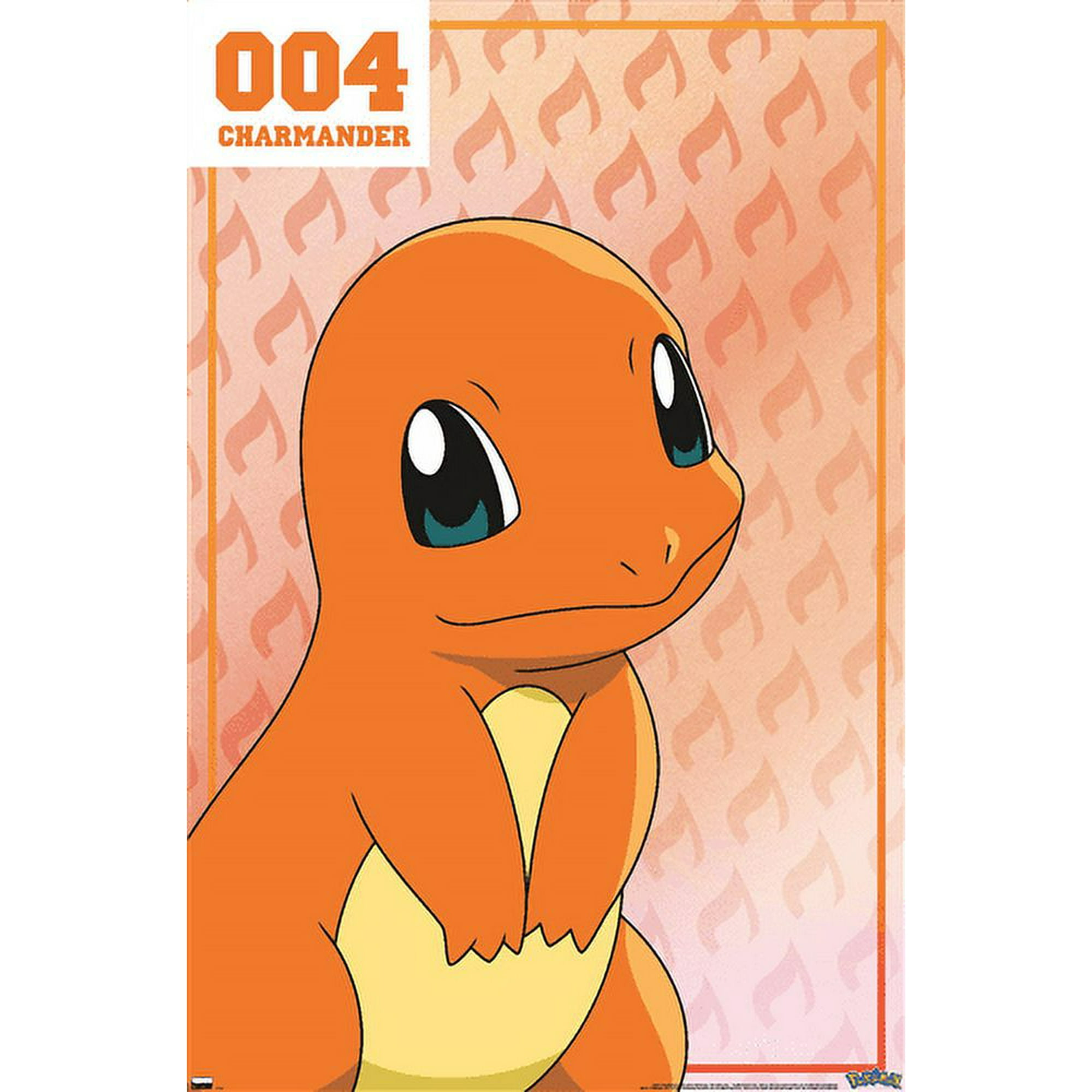 Pokemon Charmander Card