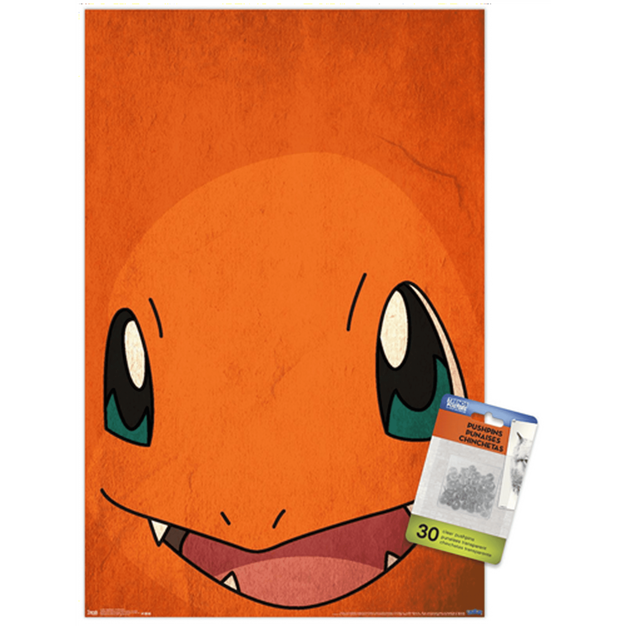 Pokemon Charmander Card