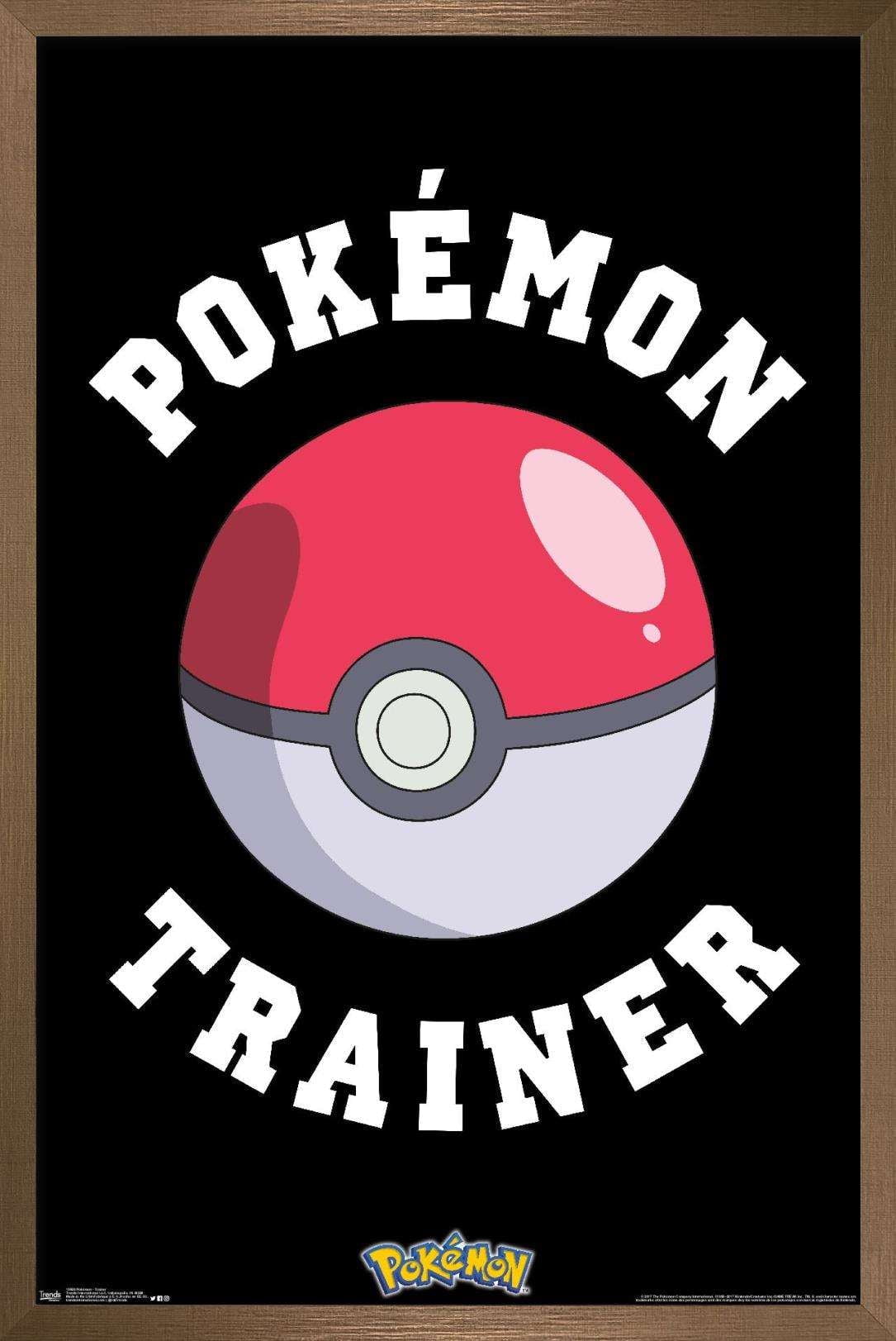 Pokemon - Trainer Wall Poster, 22.375" x 34", Framed - Walmart.com