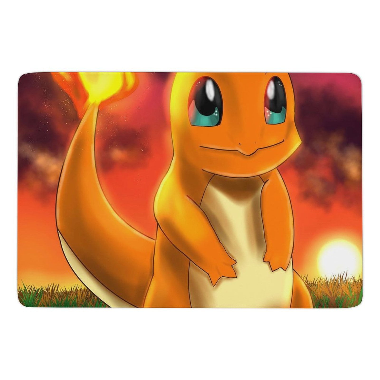 Pokemon Charizard Velvet Floor Mat，Washable Rug for Living Room ...