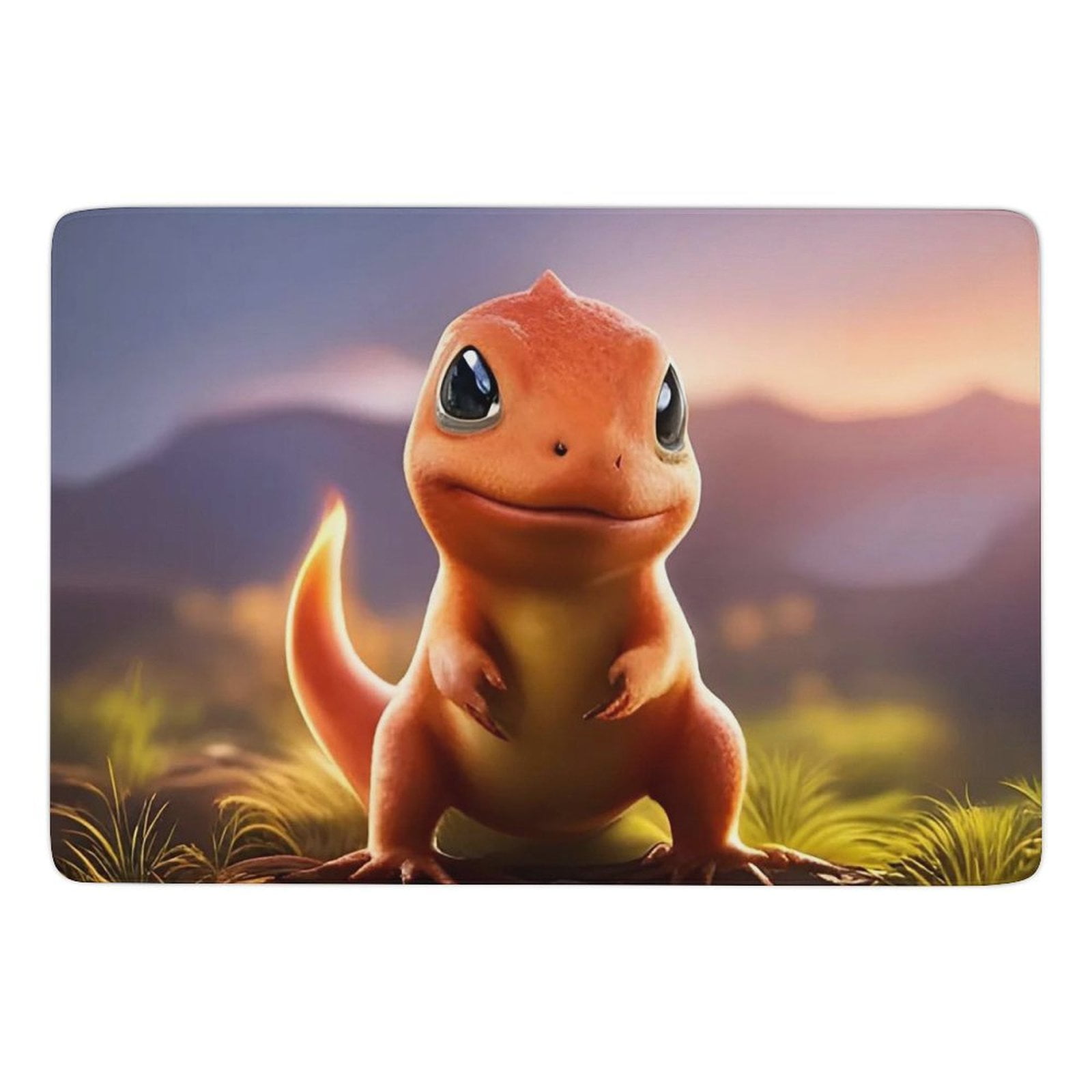 Pokemon Charizard Velvet Floor Mat，Washable Rug for Living Room ...