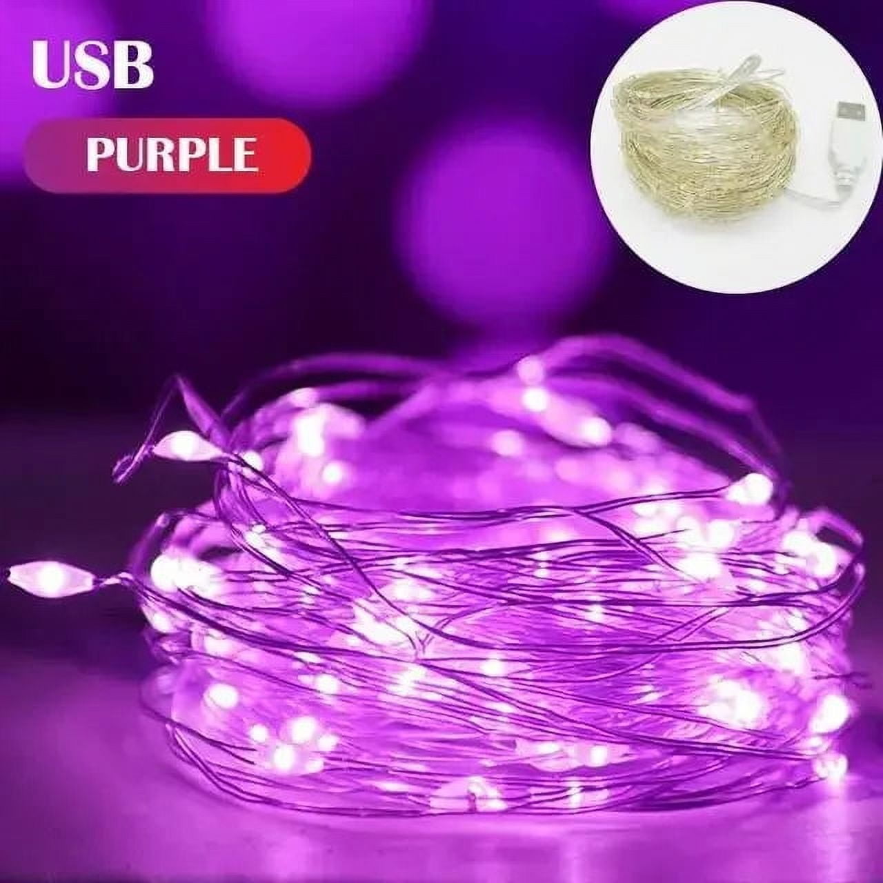 5-Color LED Outdoor Fairy String Lights - Battery-Powered Copper Wire ...