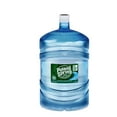 Poland Spring Maine Spring Water, 5 Gal, Single Plastic Jug - Walmart.com