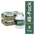 POLAND SPRING Brand Natural Spring Water, 8-ounce Mini Plastic Bottles ...