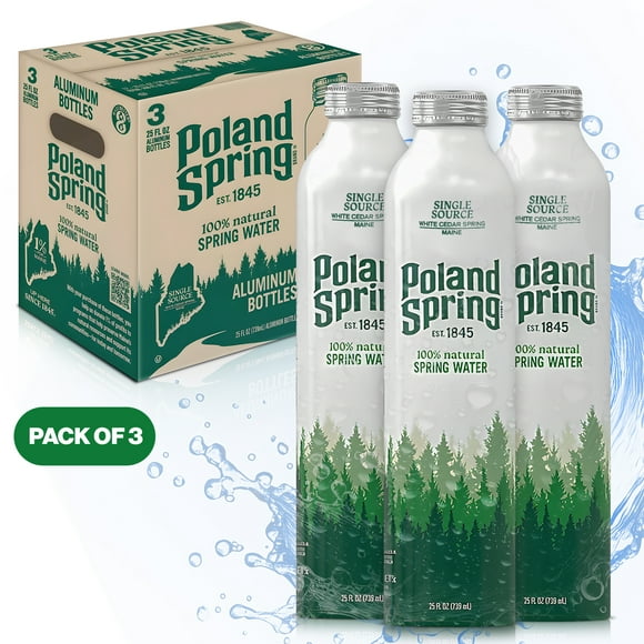 Poland Spring in Spring Water - Walmart.com