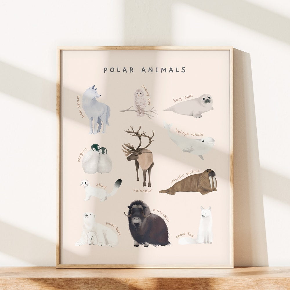 Polar Animals Montessori Educational Poster, Watercolor Illustrated ...