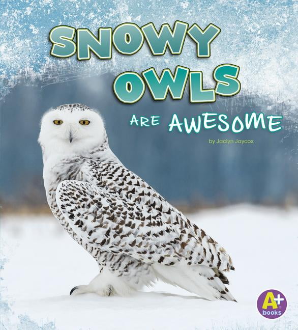 Polar Animals Snowy Owls Are Awesome, (Paperback) - Walmart.com