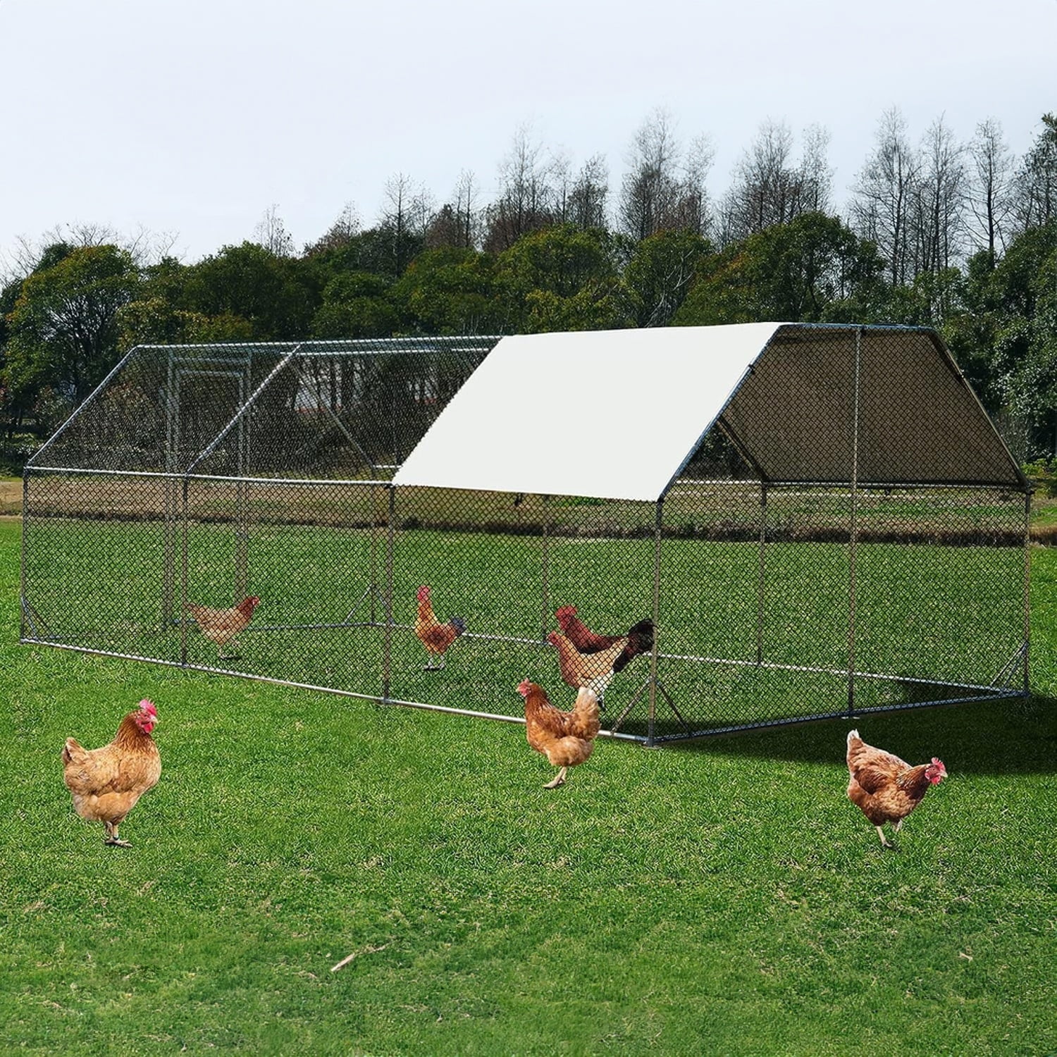 Polar Aurora Enlarged Metal Chicken Coop Hen Chicken Run House Walk-in ...