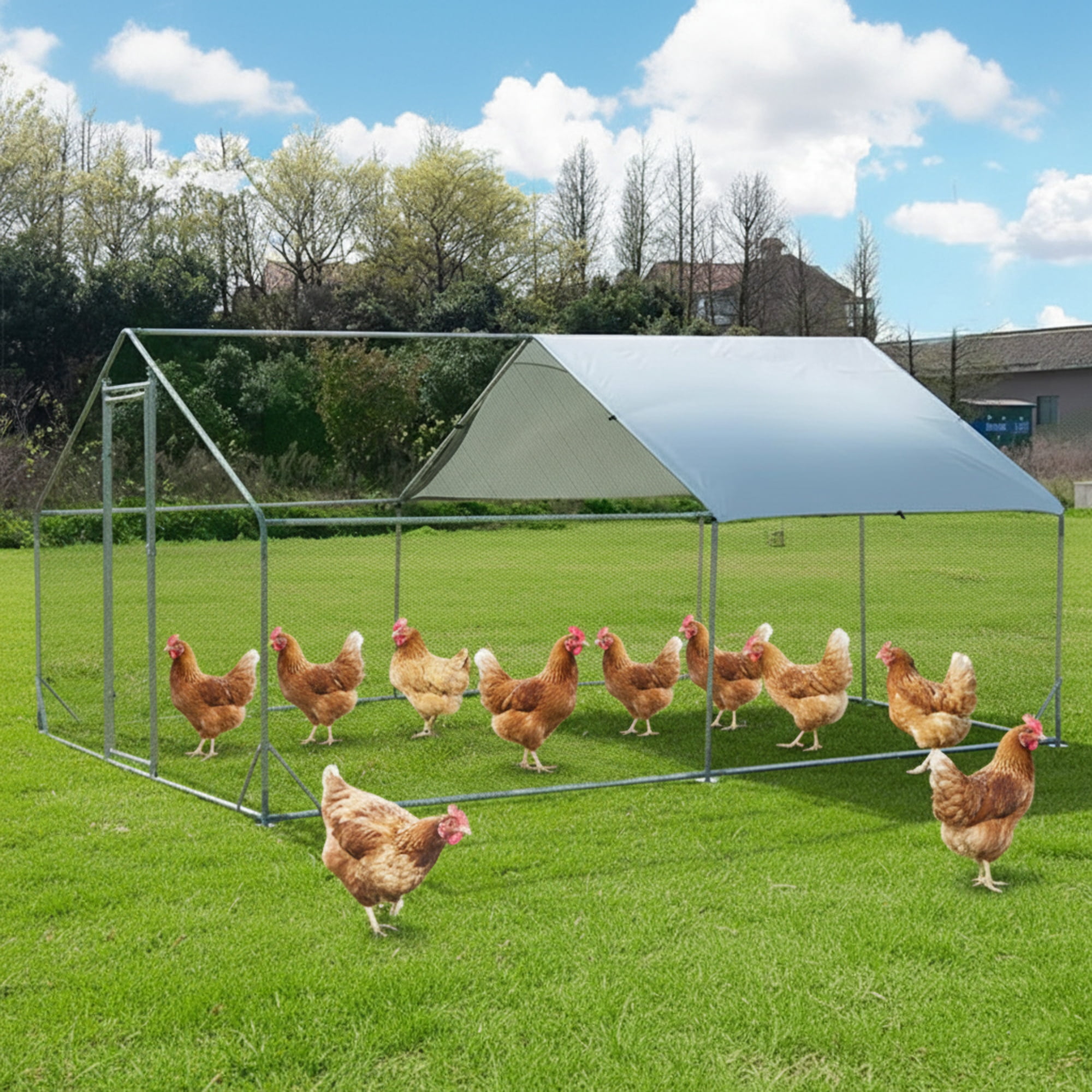 Polar Aurora Large Metal Coop for 6/10 Chickens, Poultry Cage with ...