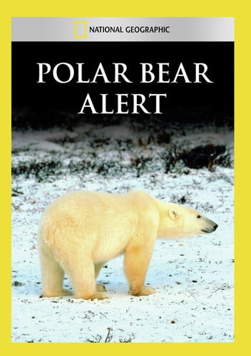Polar Bear Alert (DVD), National Geographic, Documentary - Walmart.com