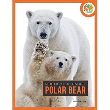Nature Stories: Little Bear : Padded Board Book (Board book) - Walmart.com