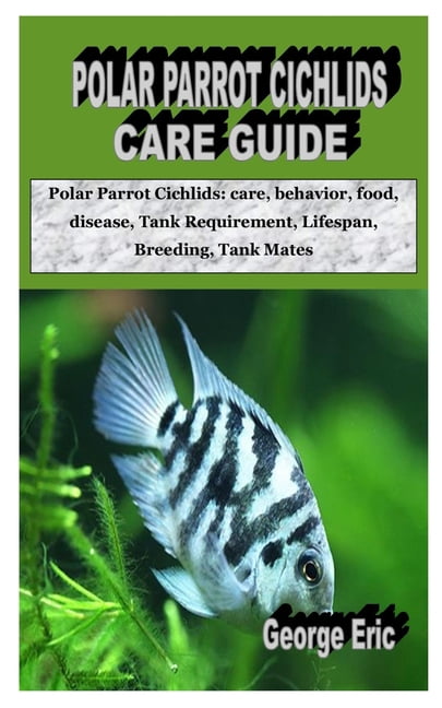 Parrot Fish Cichlid Tank Mates