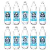 Polar Premium Original Seltzer 1 Liter Bottles Pack of 10 - Walmart.com