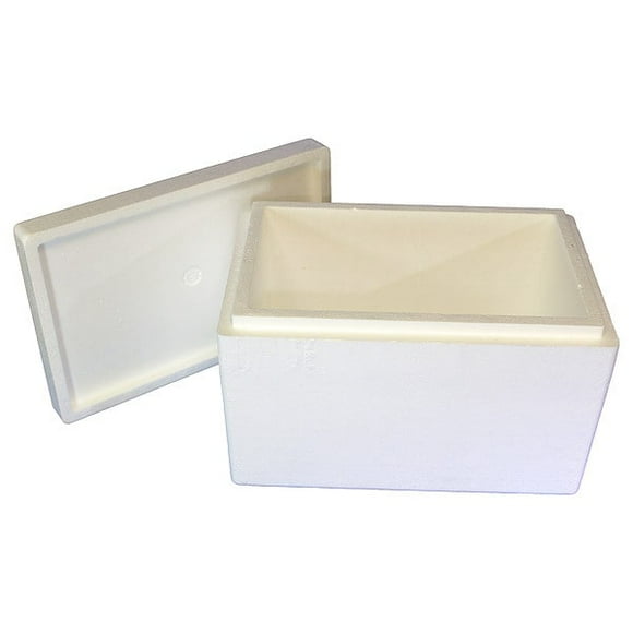 Foam Insulated Shipping Boxes