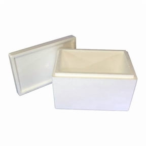 Foam Insulated Shipping Boxes
