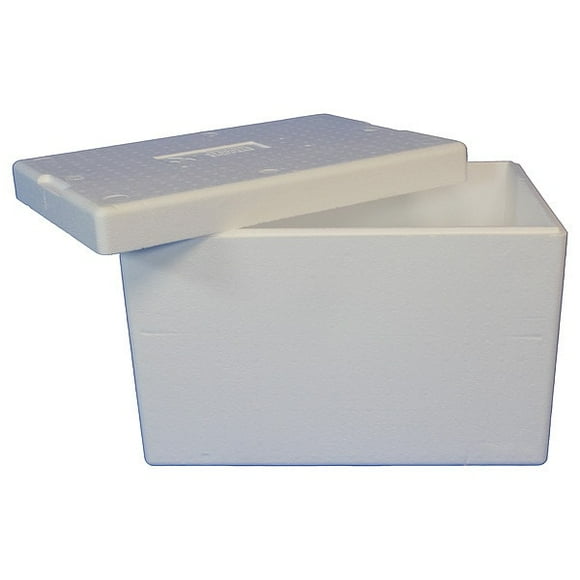 Foam Insulated Shipping Boxes