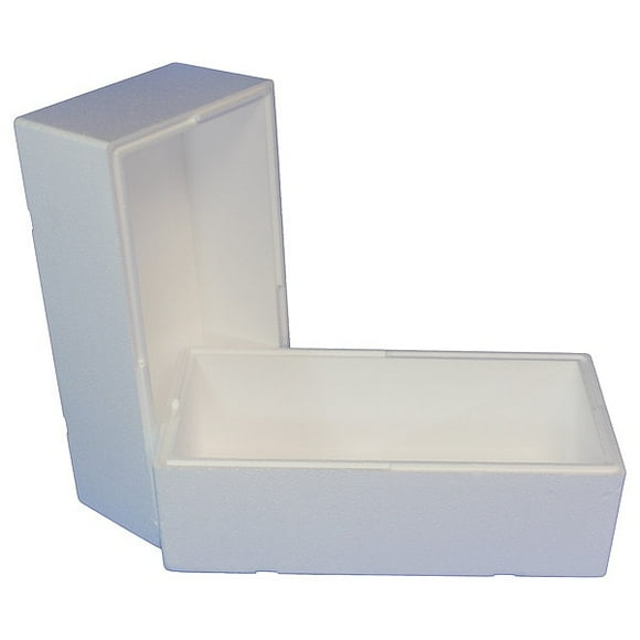 Foam Insulated Shipping Boxes