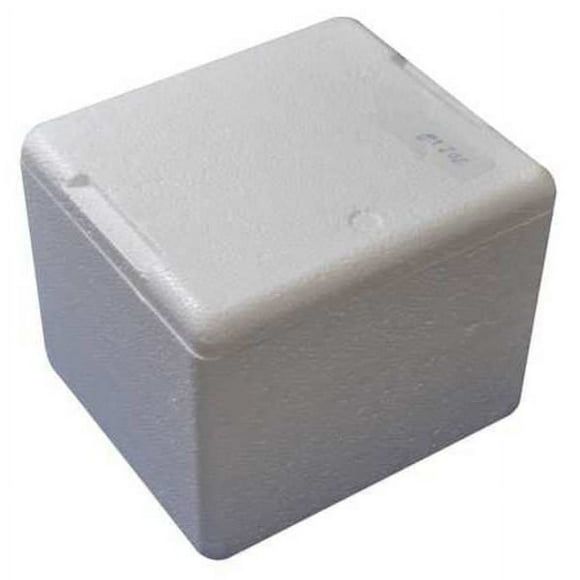 Foam Insulated Shipping Boxes
