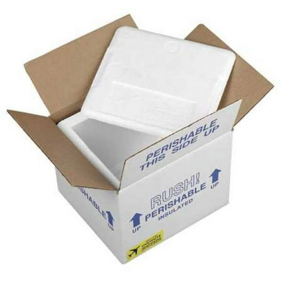 Foam Insulated Shipping Boxes