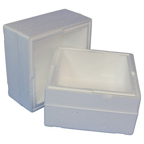 Foam Insulated Shipping Boxes