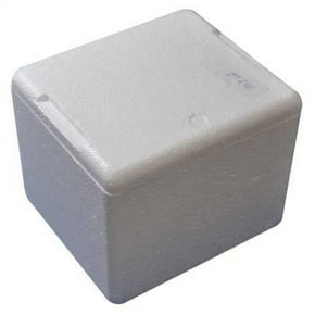 Foam Insulated Shipping Boxes