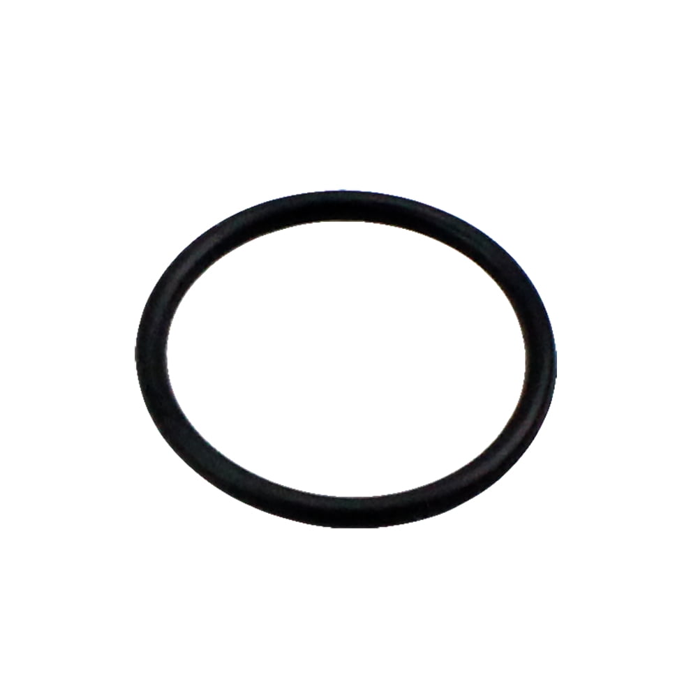 Polaris 3130863 OEM O Ring 1999-2020 RMK Switchback XC SP Classic 500 ...