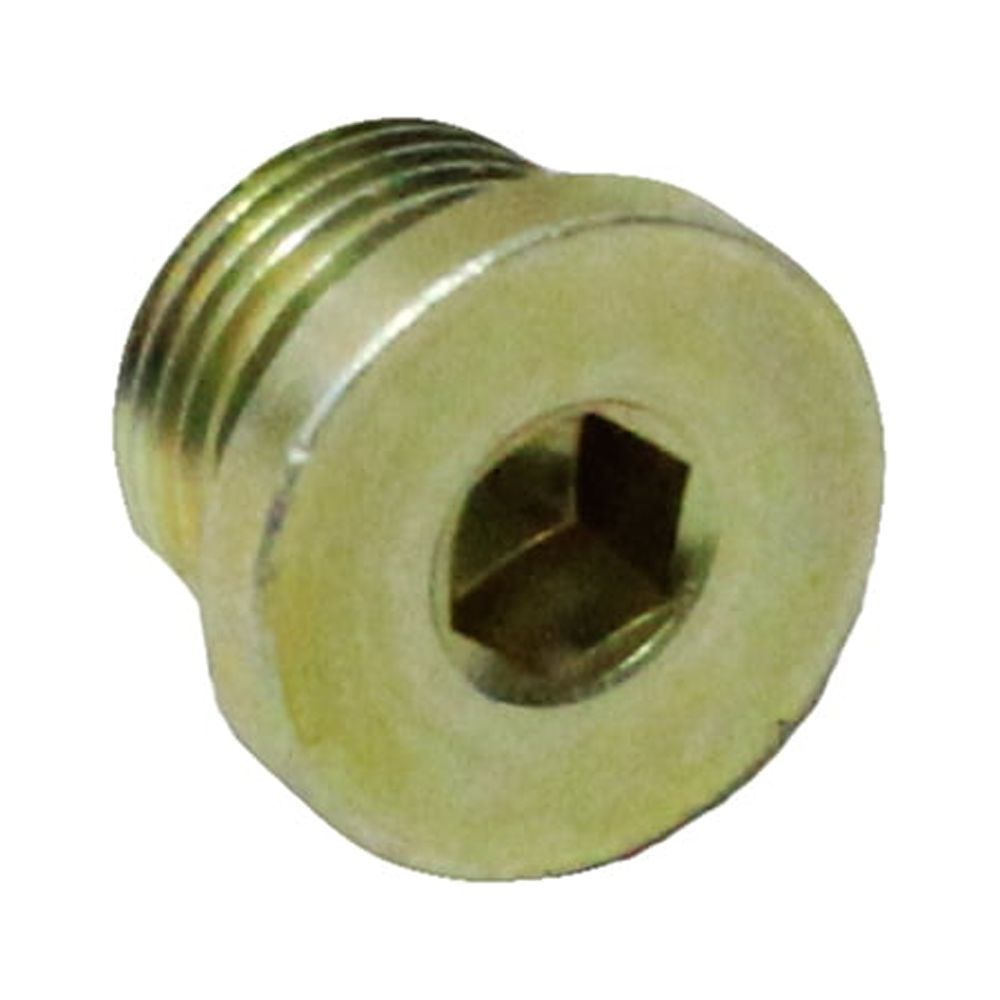 Polaris GEM Socket Head Plug, 18 mm x 1.5 mm, Genuine OEM Part 3234755 ...
