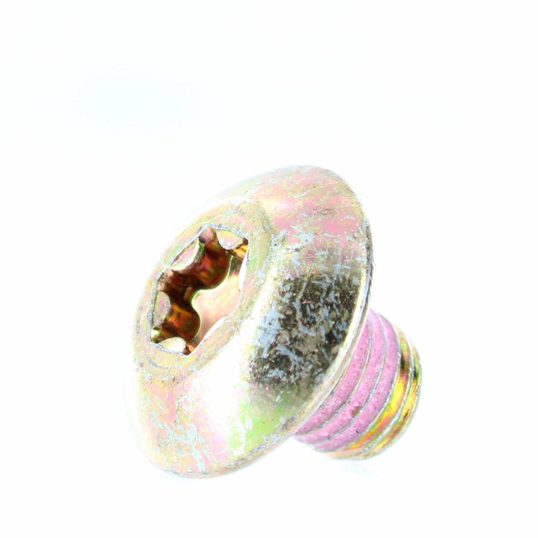 Polaris New OEM Electric Module Screw, 7518152 - Walmart.com