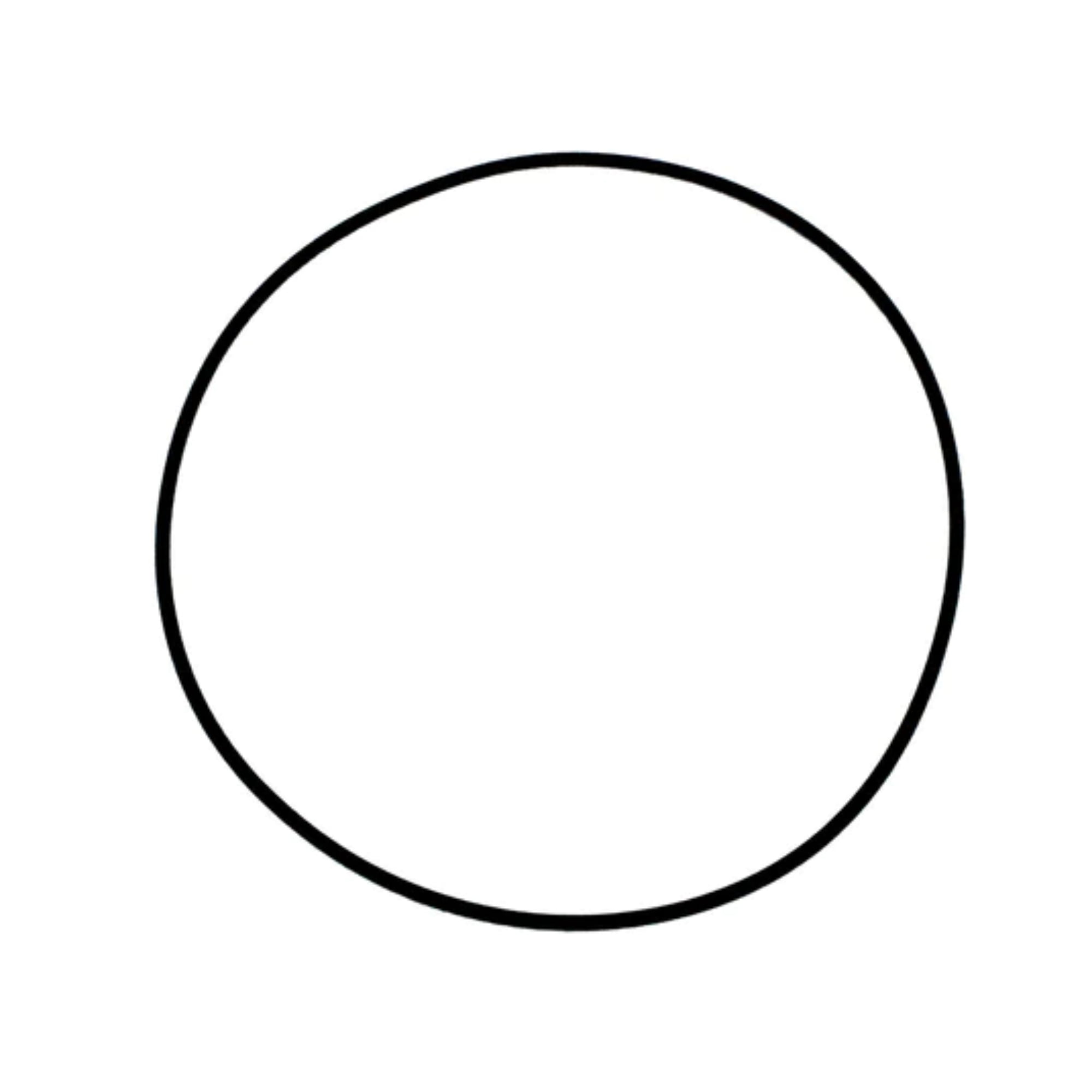 Polaris New OEM Cylinder Rubber O-Ring, 5413319 - Walmart.com