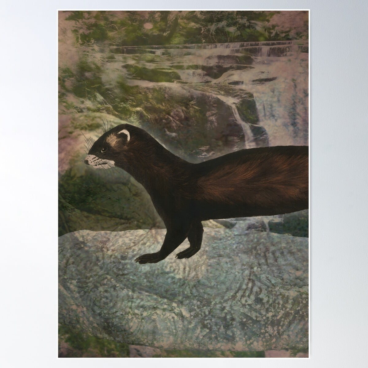 Polecat Forest Predator Woodland Creature Poster Wall Art, Modern Wall ...