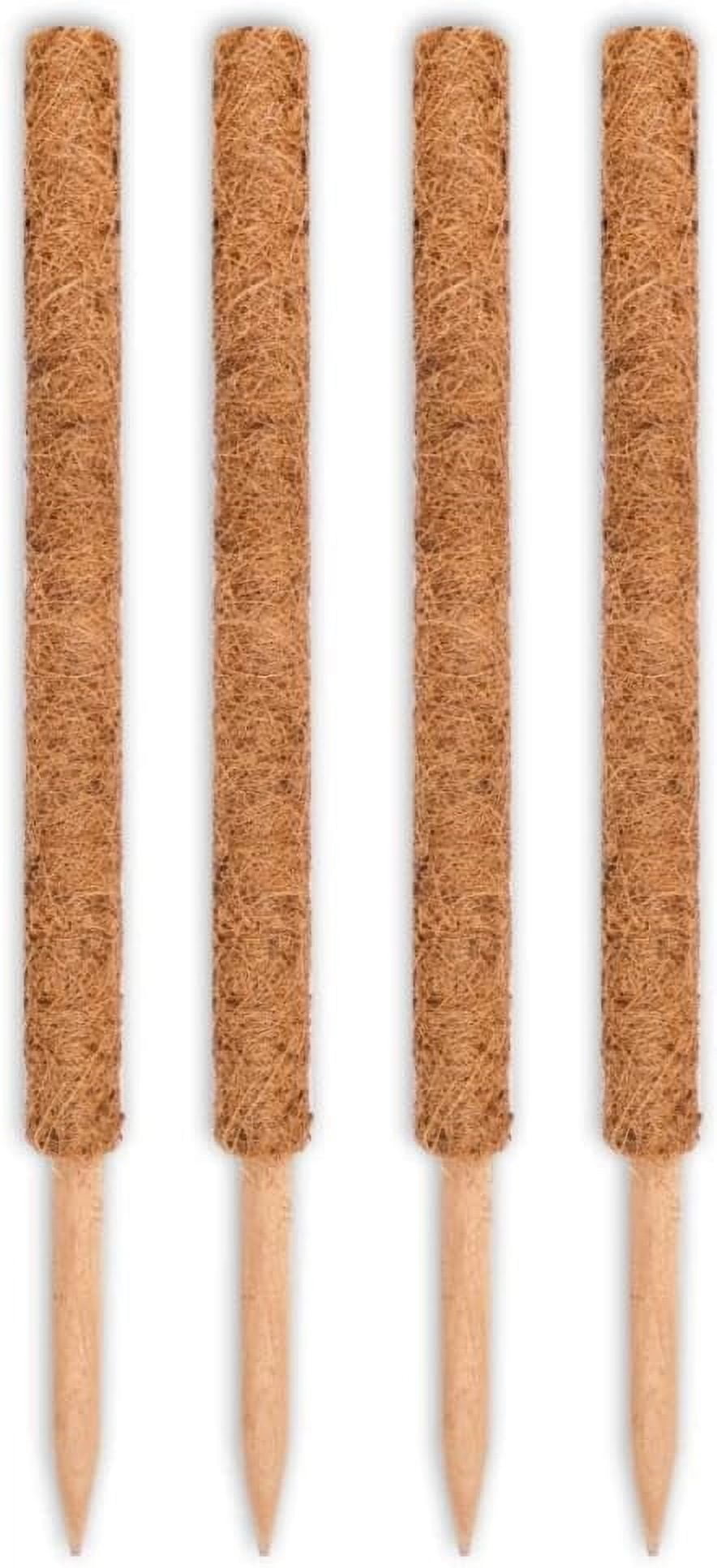Poles Plant Support Stakes Plant Stake Pothos Coir Totem Pole Monstera ...