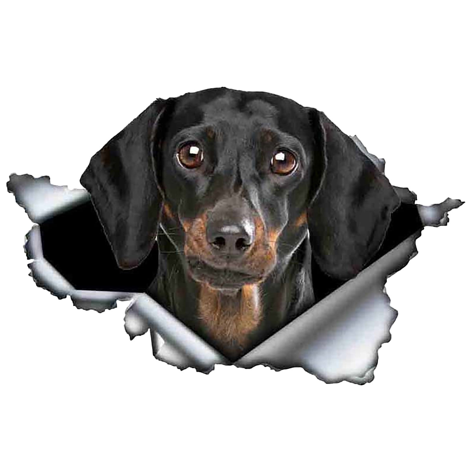 Polestar Decal Small Pack Number Decals for Vehicles Bumper for Cars ...