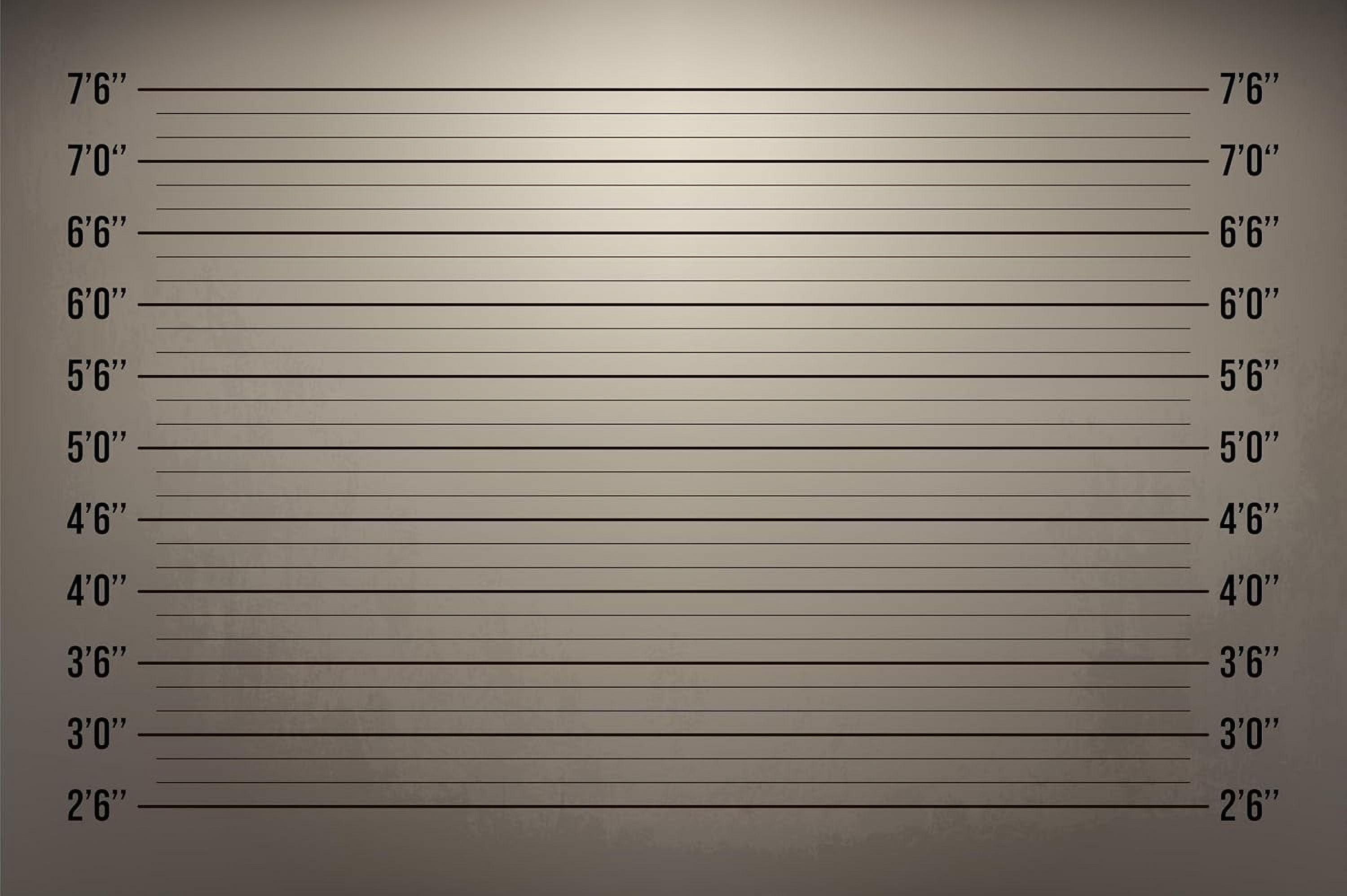 Police Lineup Height Charts Backdrop for Photography Bachelorette Party ...