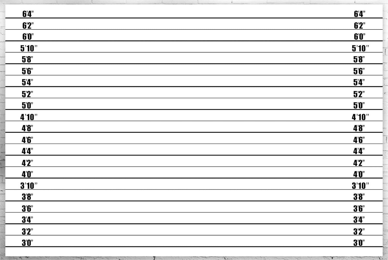 Police Lineup Height Charts Backdrop for Photography Bachelorette Party ...